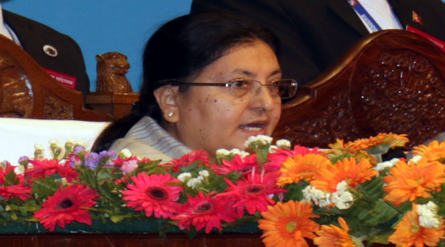 मानव अधिकारका लागि सबै क्षेत्र क्रियाशील हुन आवश्यक: राष्ट्रपति भण्डारी ...